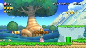 Super Crown - Super Mario Wiki, the Mario encyclopedia