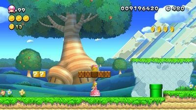 Super Crown - Super Mario Wiki, the Mario encyclopedia