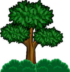 Tree - Super Mario Wiki, the Mario encyclopedia