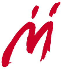 Shadow Mario - Super Mario Wiki, the Mario encyclopedia