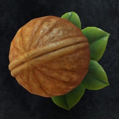 Nut (Super Mario Odyssey) - Super Mario Wiki, the Mario encyclopedia