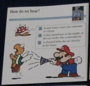Mario Quiz Cards - Super Mario Wiki, the Mario encyclopedia