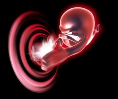 Slammer (enemy) - Super Mario Wiki, the Mario encyclopedia