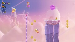 Pole Block Passage - Super Mario Wiki, the Mario encyclopedia