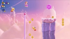 Pole Block Passage - Super Mario Wiki, the Mario encyclopedia