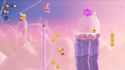 Pole Block Passage - Super Mario Wiki, the Mario encyclopedia