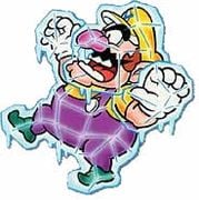 40 Below Fridge - Super Mario Wiki, the Mario encyclopedia