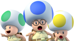 Banktoad - Super Mario Wiki, the Mario encyclopedia