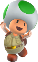 Toad Brigade - Super Mario Wiki, the Mario encyclopedia