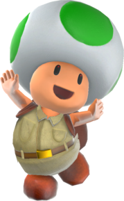 Toad Brigade - Super Mario Wiki, the Mario encyclopedia