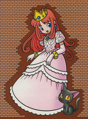 Princess Shokora - Super Mario Wiki, the Mario encyclopedia