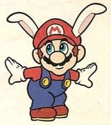 Bunny Mario - Super Mario Wiki, the Mario encyclopedia