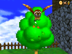 Hoot - Super Mario Wiki, the Mario encyclopedia