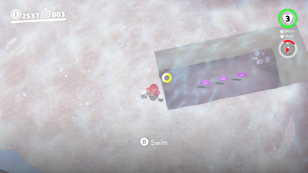 File:SMO Lake Coins B.png - Super Mario Wiki, the Mario encyclopedia