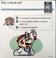 Mario Quiz Cards - Super Mario Wiki, the Mario encyclopedia