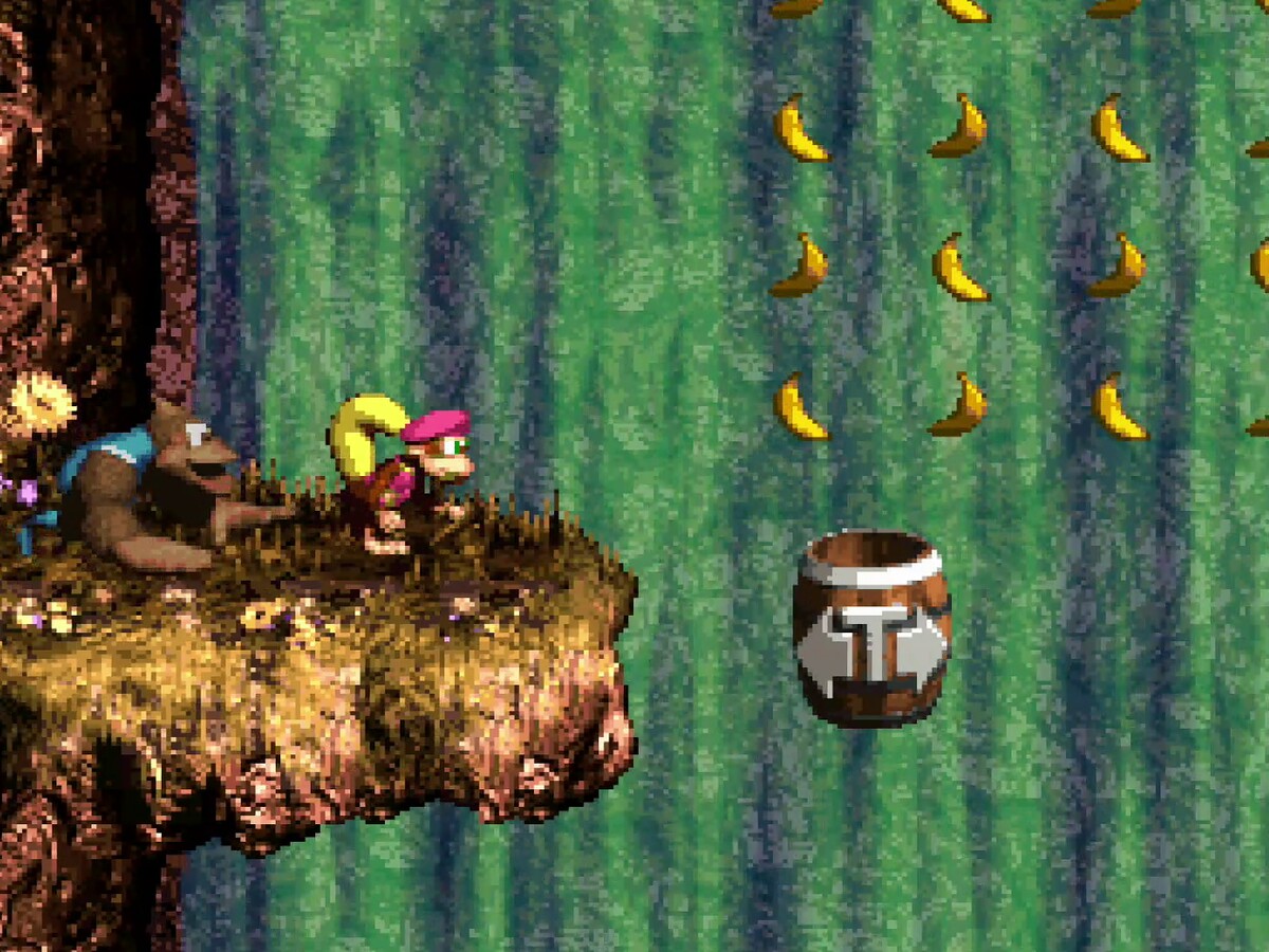 File:NM DKC3 Cascade Capers.jpg - Super Mario Wiki, the Mario encyclopedia