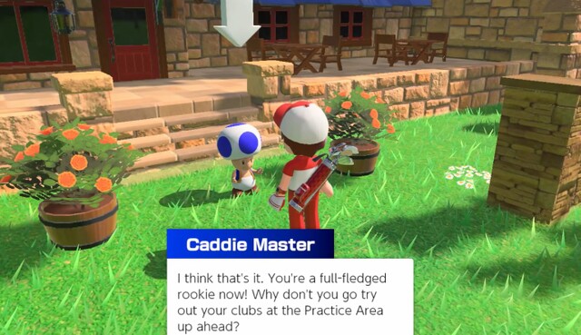Caddie Master - Super Mario Wiki, the Mario encyclopedia