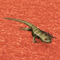 Small animal - Super Mario Wiki, the Mario encyclopedia