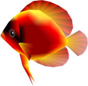 Fish - Super Mario Wiki, the Mario encyclopedia