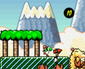 Yoshi's House - Super Mario Wiki, the Mario encyclopedia