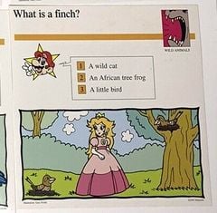 Mario Quiz Cards - Super Mario Wiki, the Mario encyclopedia