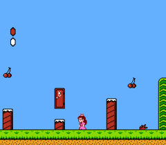 Cherry - Super Mario Wiki, the Mario encyclopedia