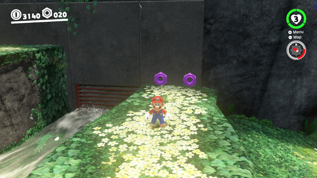 List of regional coins in the Wooded Kingdom - Super Mario Wiki, the ...