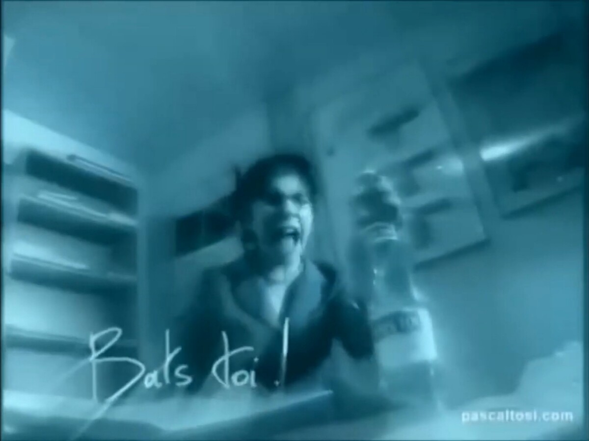 Bats toi ! - Super Mario Wiki, the Mario encyclopedia