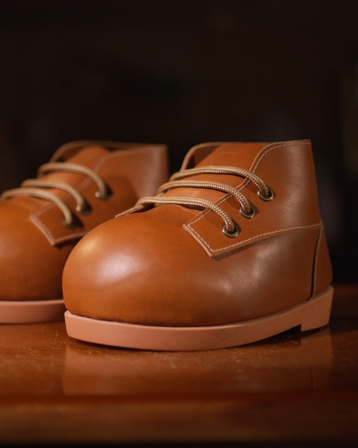 File:TSMBM Boots.jpg - Super Mario Wiki, the Mario encyclopedia