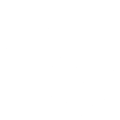 Twila - Super Mario Wiki, the Mario encyclopedia