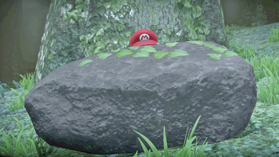 Boulder - Super Mario Wiki, the Mario encyclopedia