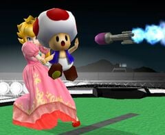 Toad (move) - Super Mario Wiki, the Mario encyclopedia