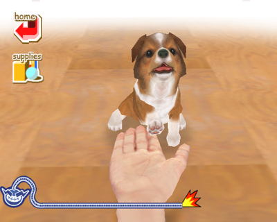 Nintendog - Super Mario Wiki, the Mario encyclopedia