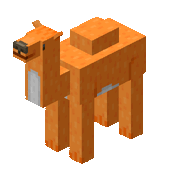 Camel - Super Mario Wiki, the Mario encyclopedia