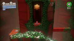 Nut (Super Mario Odyssey) - Super Mario Wiki, the Mario encyclopedia