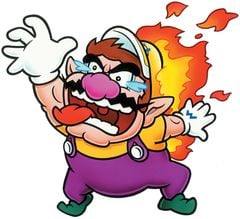 Gallery:Wario Land 4 - Super Mario Wiki, the Mario encyclopedia