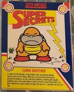 Sumo Bro - Super Mario Wiki, the Mario encyclopedia