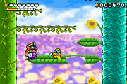 Wildflower Fields - Super Mario Wiki, the Mario encyclopedia