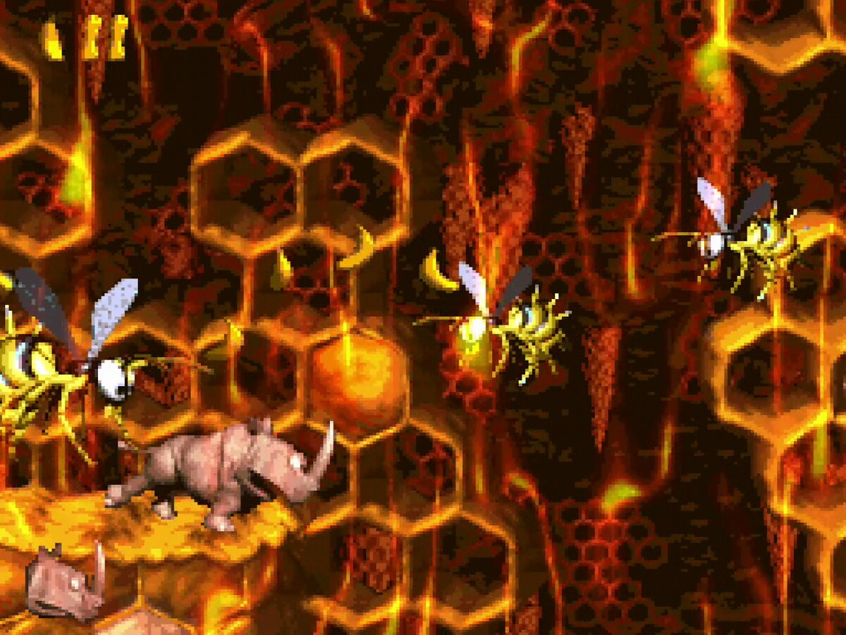 Run, Rambi! Run! (Parrot Chute Panic) - Super Mario Wiki, the Mario ...