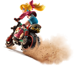Rally Bike - Super Mario Wiki, the Mario encyclopedia