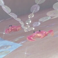 Small animal - Super Mario Wiki, the Mario encyclopedia