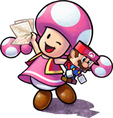 Toadette - Super Mario Wiki, the Mario encyclopedia